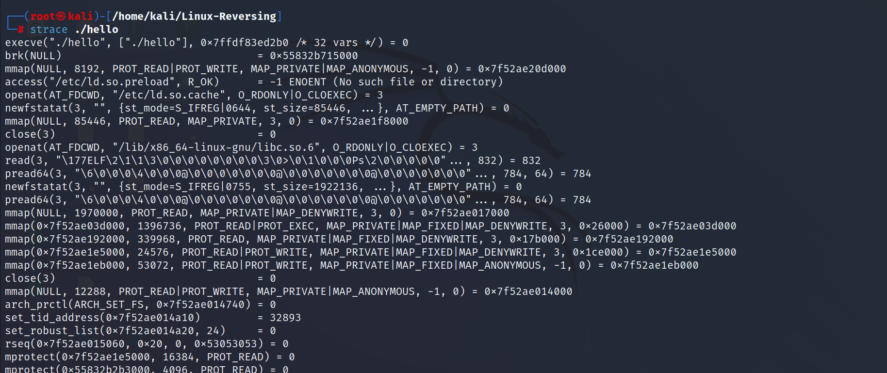 Reversing Linux Applications Securityboat Workbook